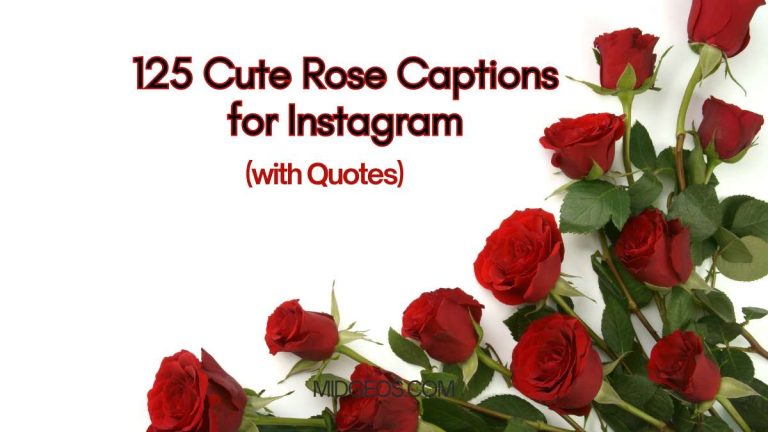 115 Best February Captions & Quotes For Instagram Posts