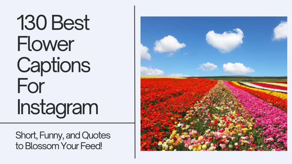130 Best Flower Captions For Instagram: Short, Funny, And Quotes