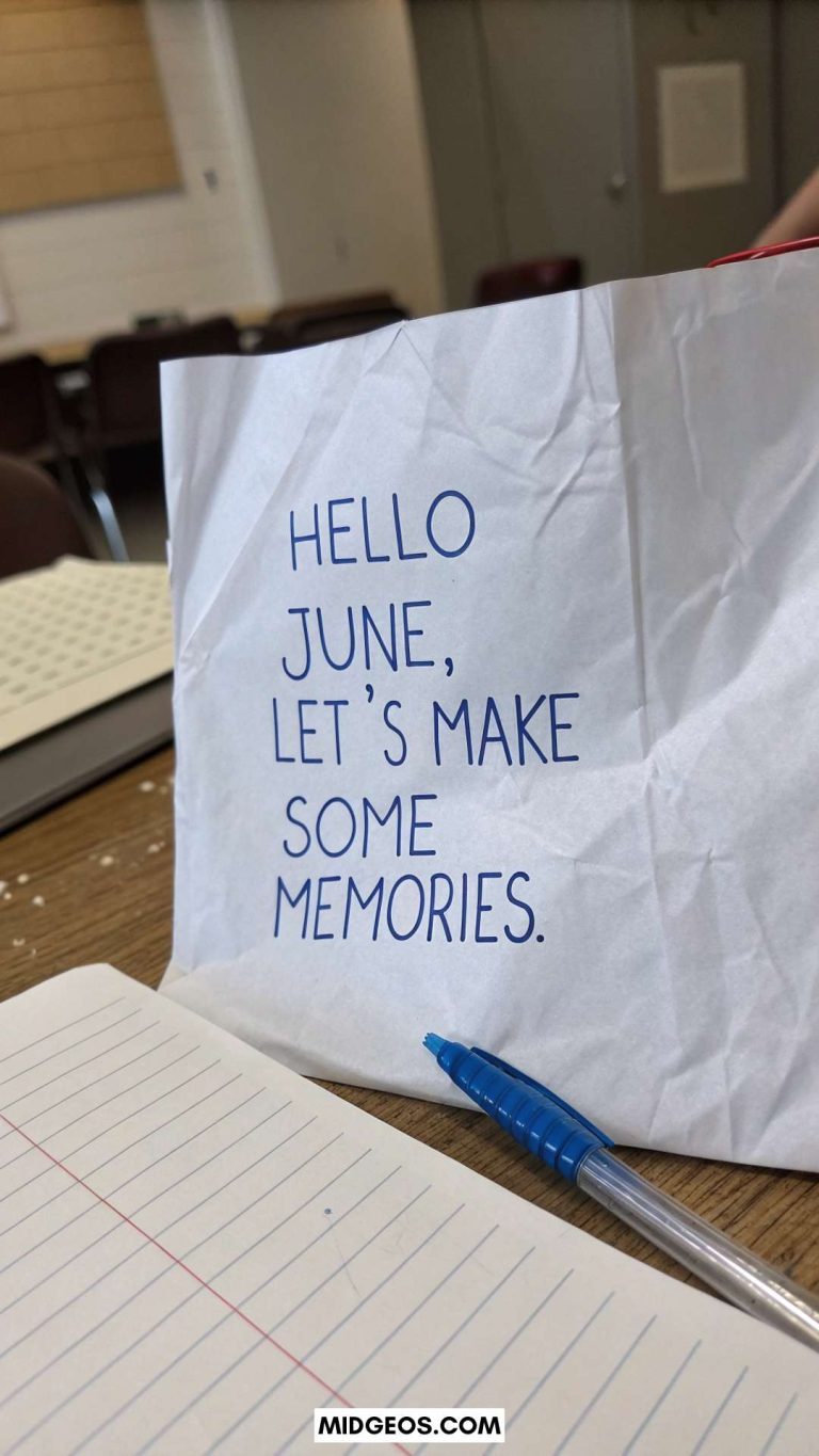 145 Hello June Captions For Instagram To Start Summer Right